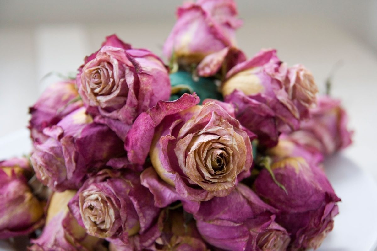 How To Dry Flowers 5 Awesome Easy Ways To Preserve Them 