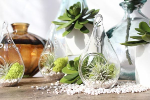 14 Cool Terrarium Ideas That Are Simply Amazing