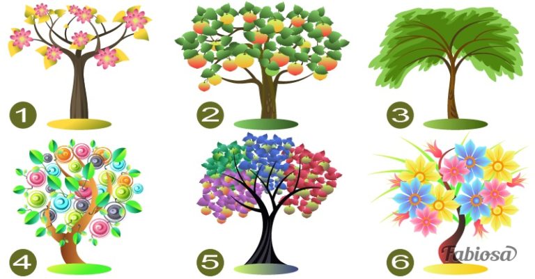 Choose The Tree You Like Most And Discover Your Personality – Site For ...