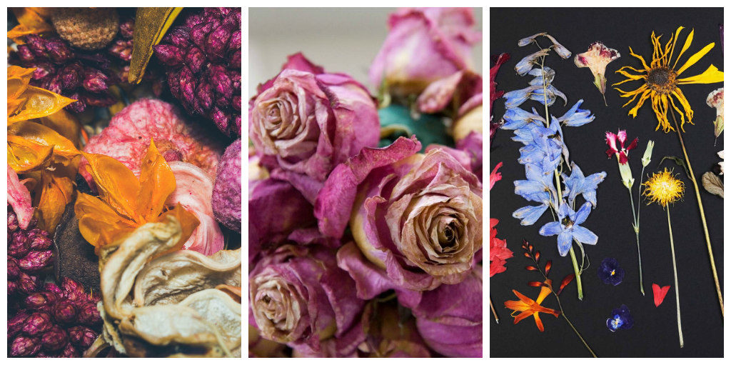 How to Dry Flowers: 5 Awesome & Easy Ways to Preserve Them! – Site For ...